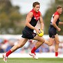 VFL player review: round 17