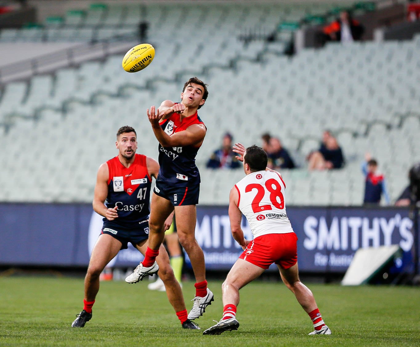 Casey Demons | Game Day Guide - 1st Qualifying Final VFL