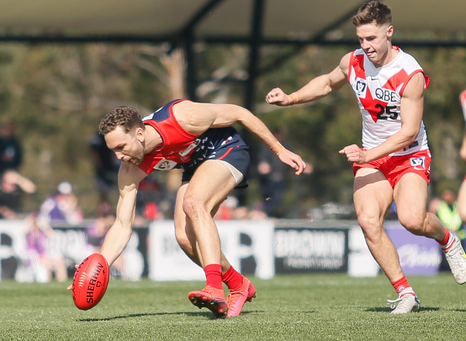 Adjusting quickly – Inside Matt Buntine’s first season as a Demon