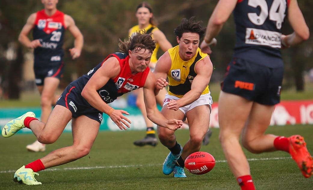 VFL | Demons fall short to concede first loss of 2023