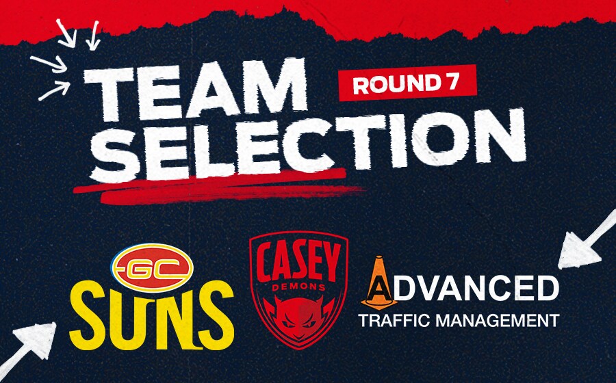 VFL | Team Selection Round 7