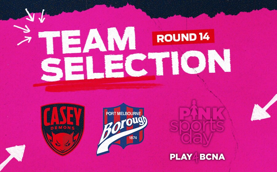 Team Selection | VFLW Round 14