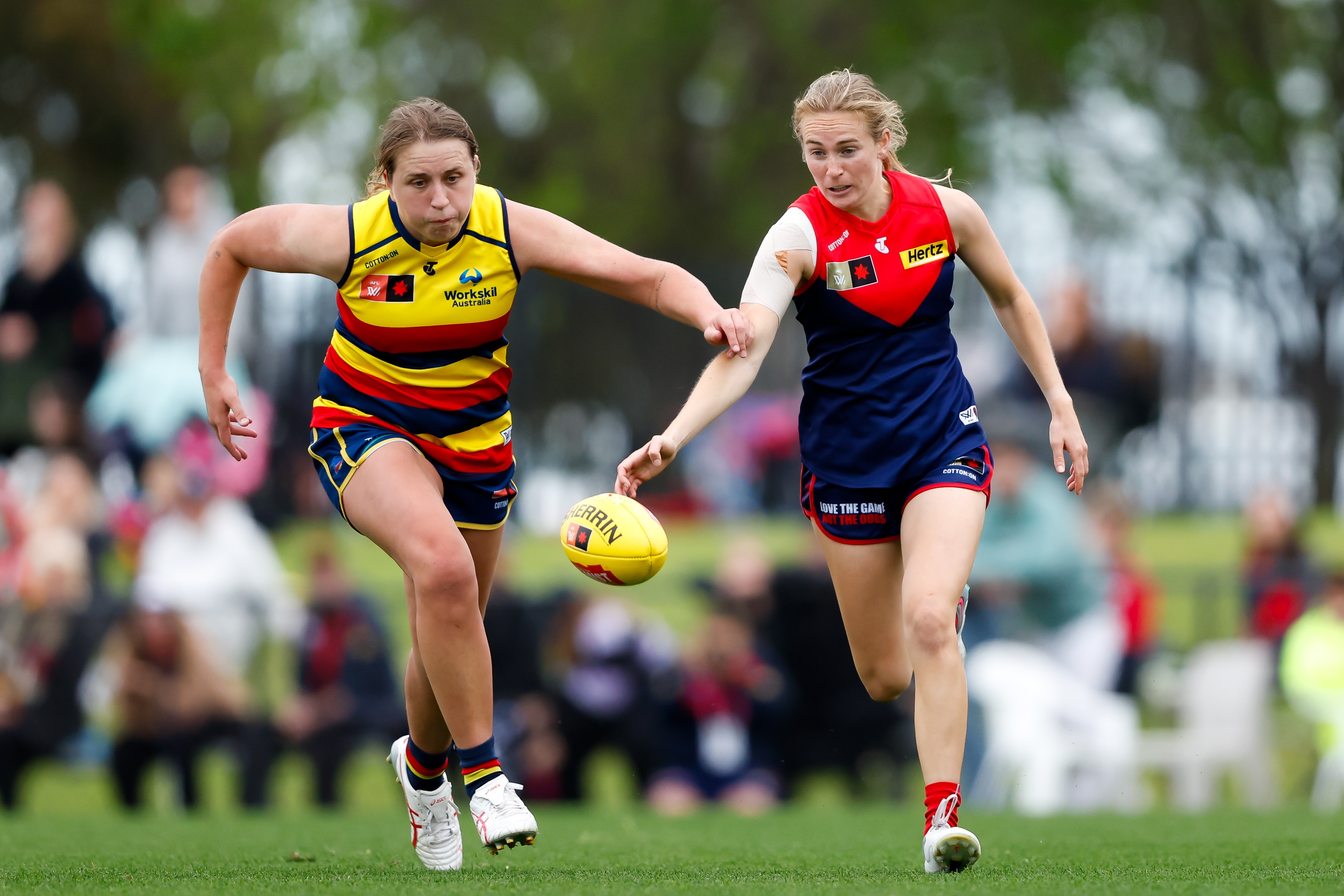 Demons fall short of Crows at Casey