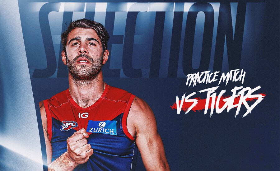Match simulation selection | Demons v Tigers