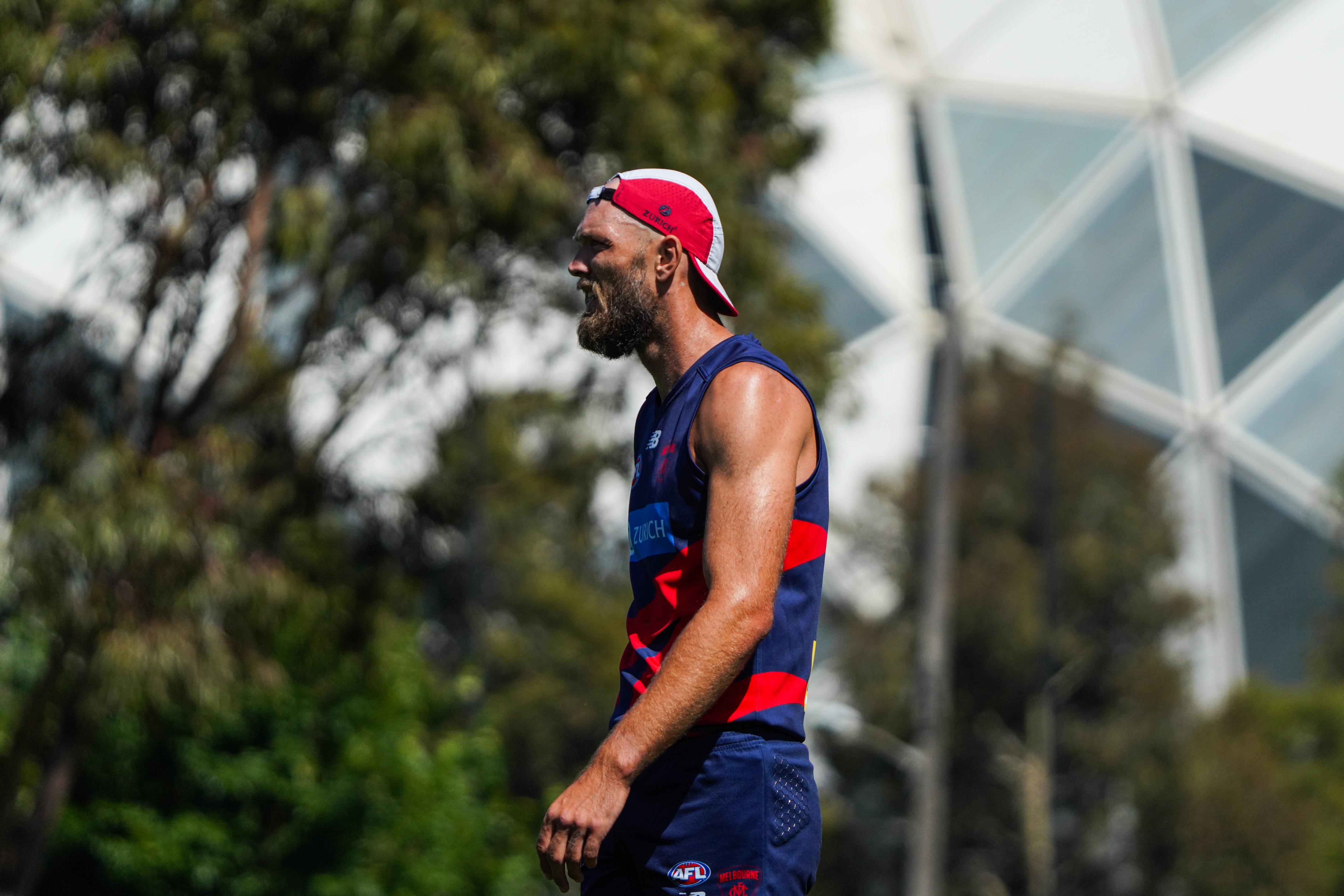 Performance Update | Dees on track for 2025