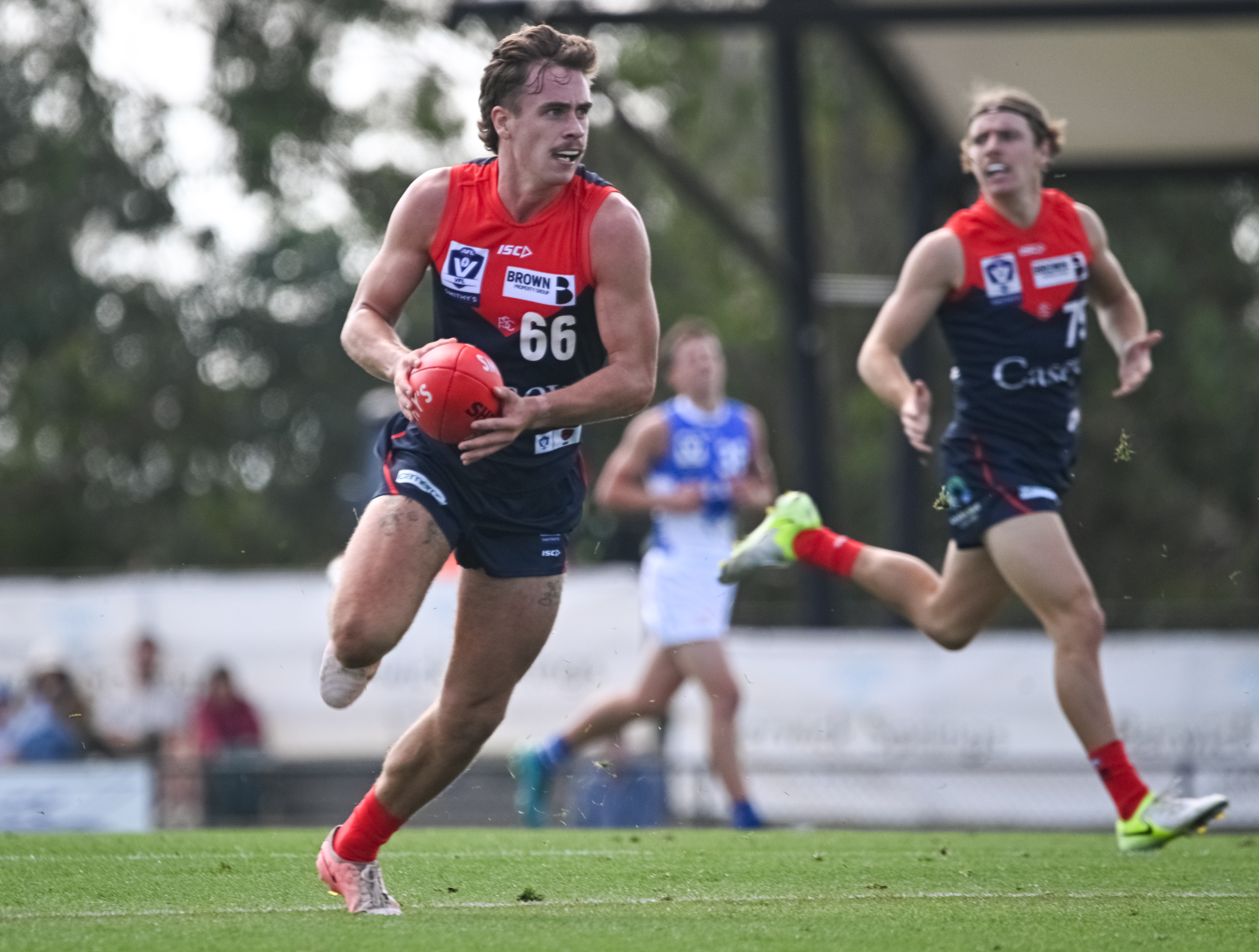 Team Selection | VFL & VFLW
