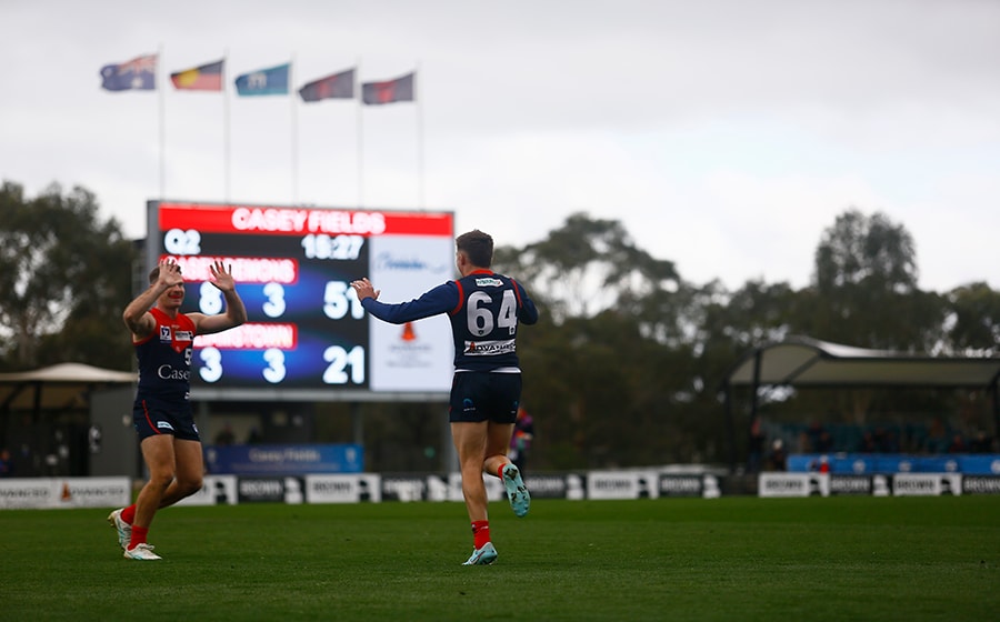 VFL Elimination Final | Dees Dominate to Keep Finals Run Alive