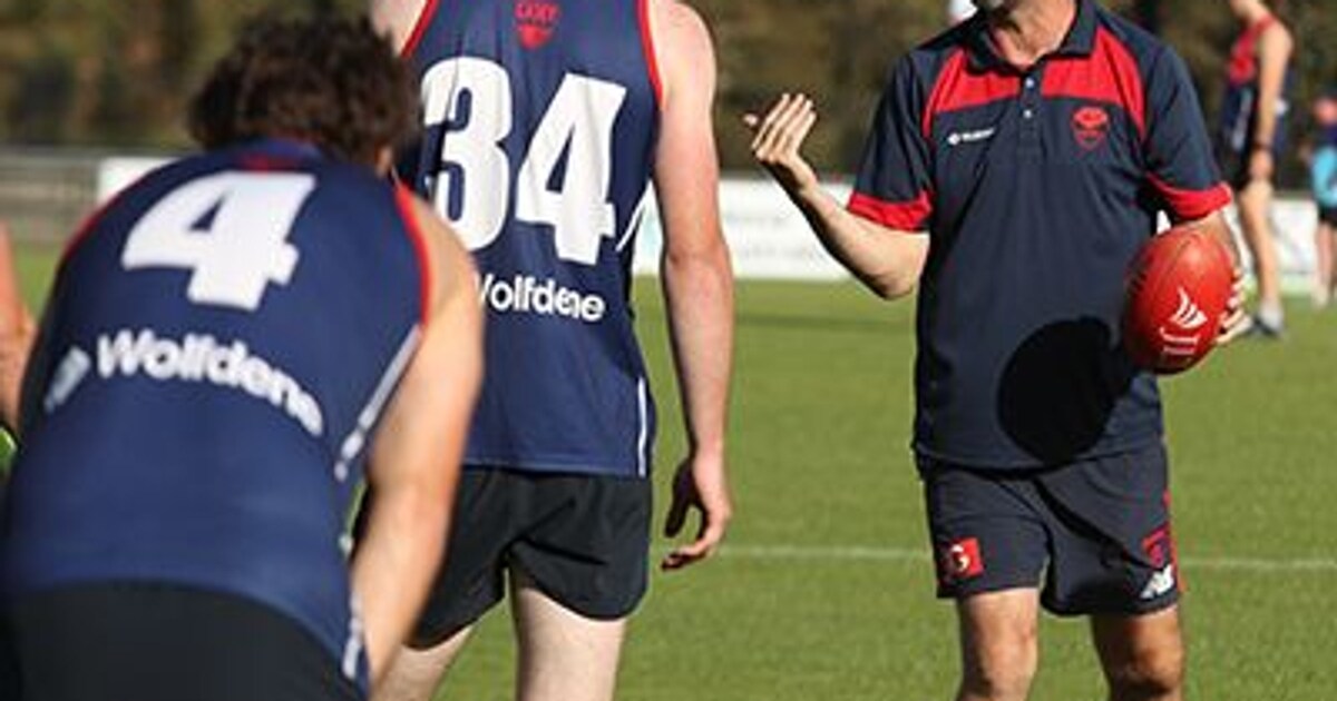 2018 Casey Demons preview