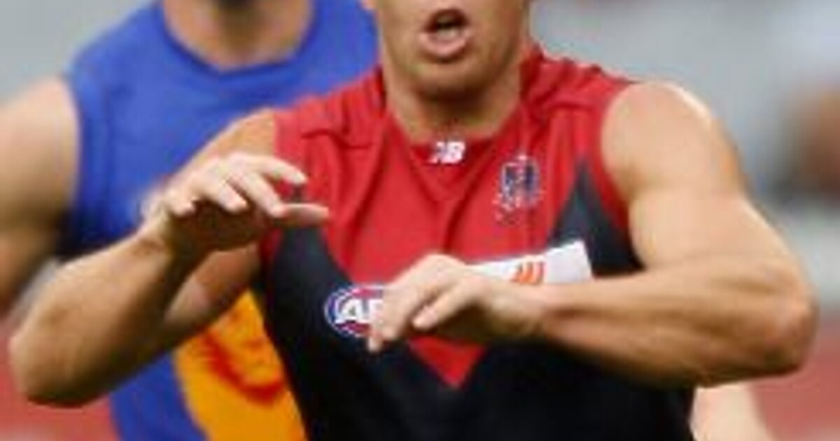 ‘Bluey’ award winners