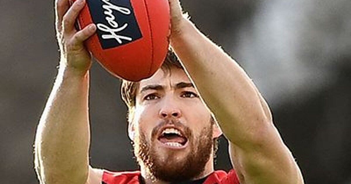 Viney aims for pre-season hit-out