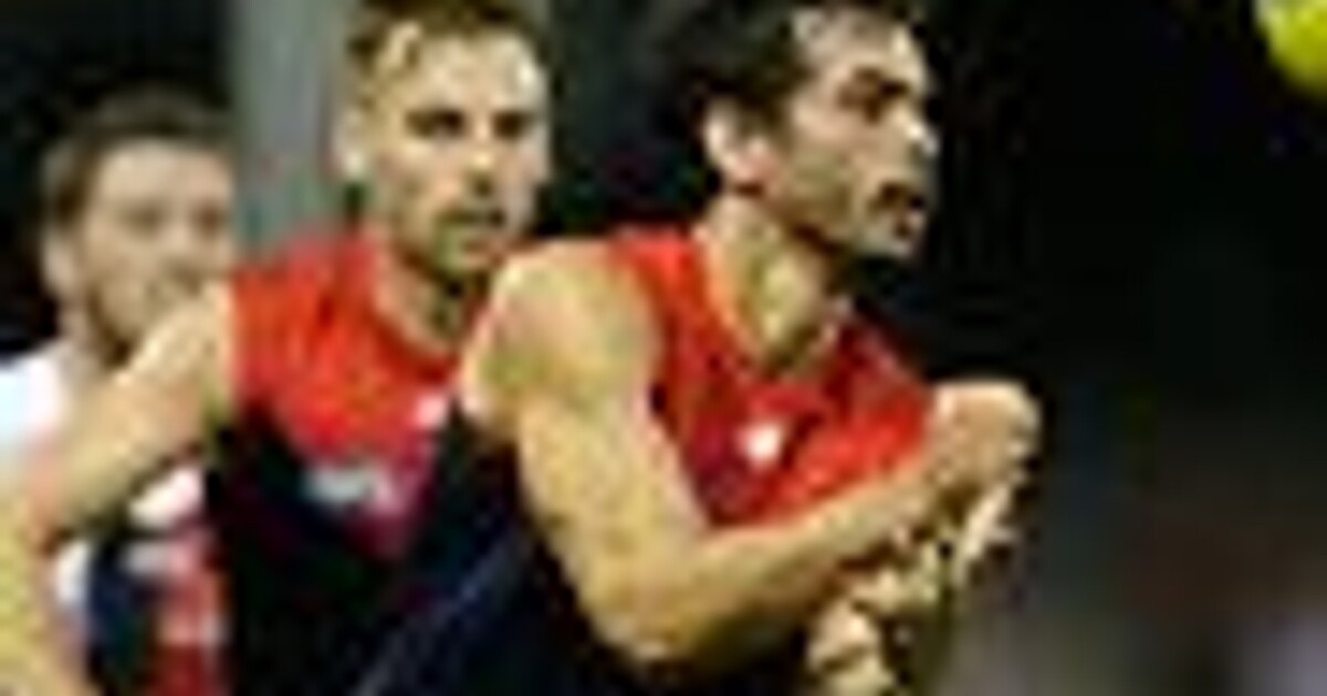 Jeffy, James and Jones return