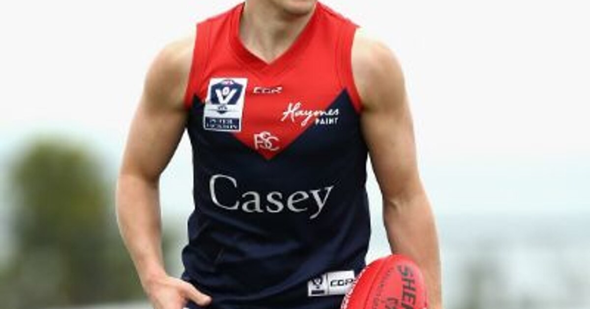 VFL player review: qualifying final