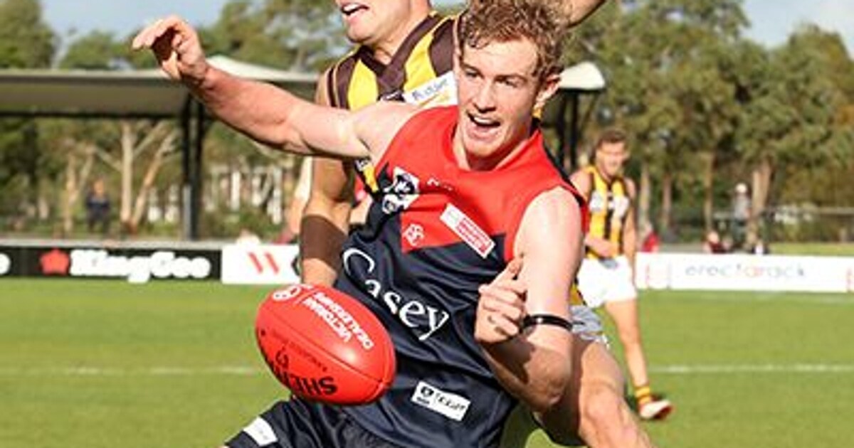 Viney makes successful return from injury