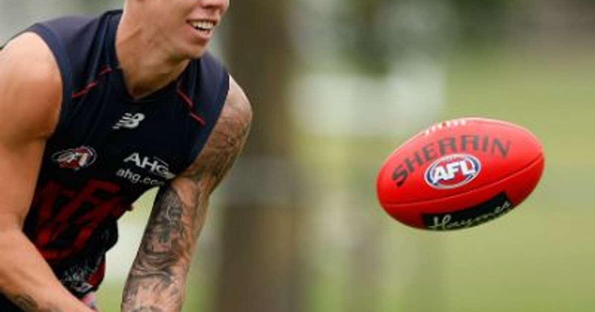 Harmes to build on impressive return