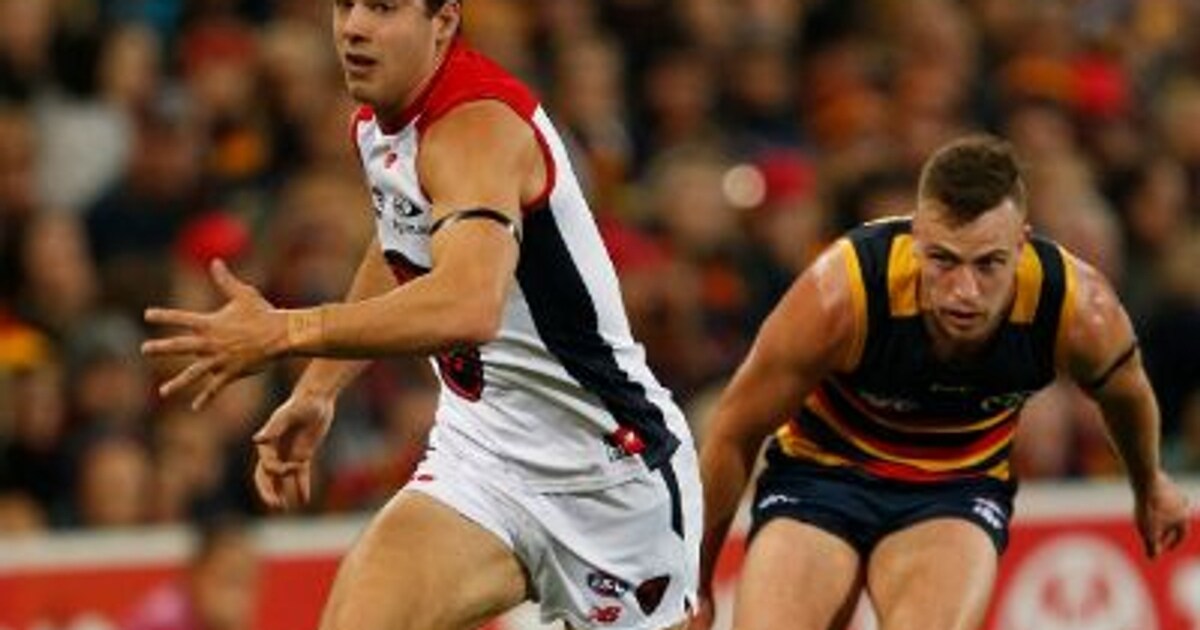 A moment to remember: Petracca