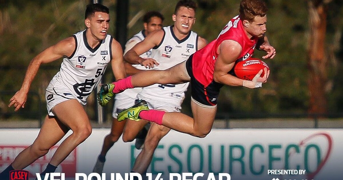 VFL: Round 14 recap
