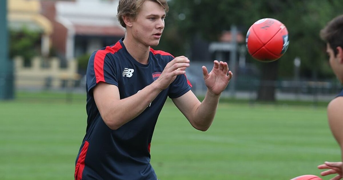 Nietschke out for the season