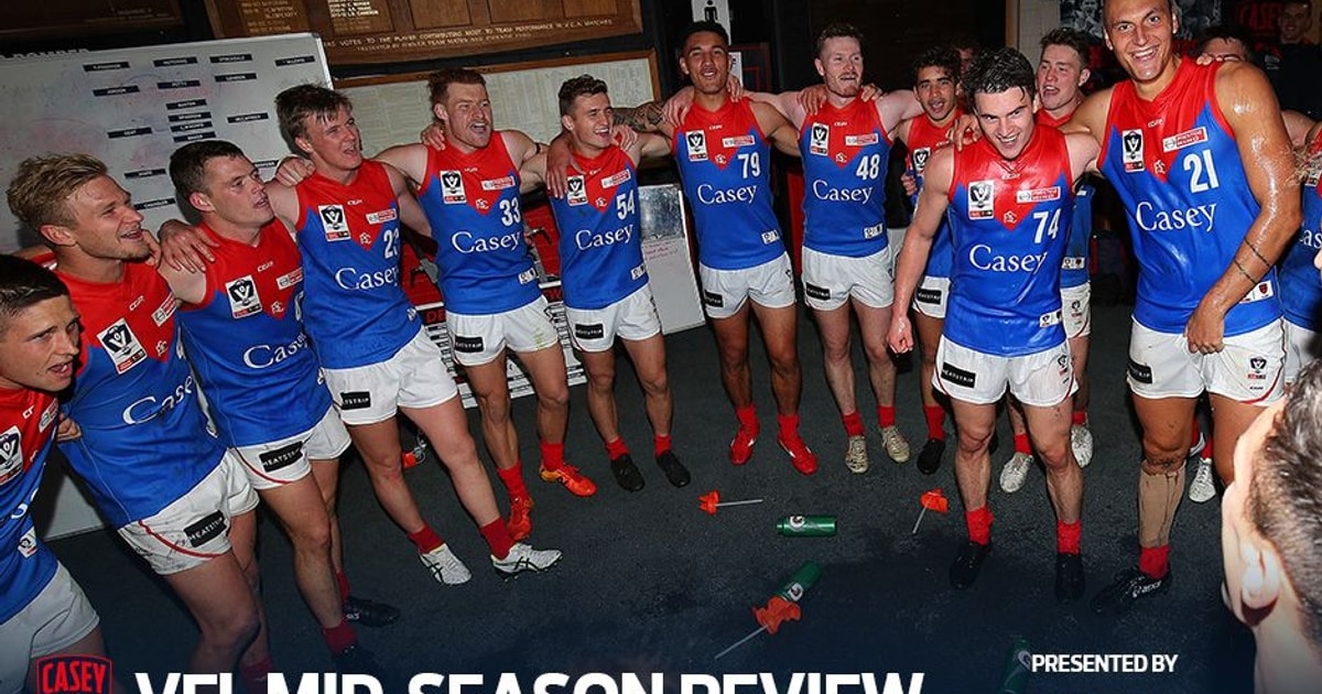 VFL: Mid-Season Review