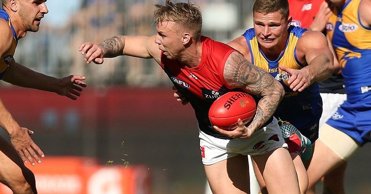 Harmes gets Team of the Week nod