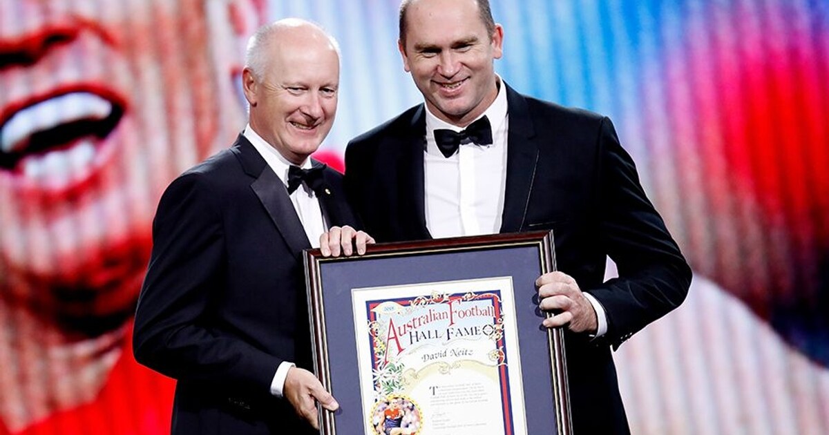 An amazing honour: Neitz