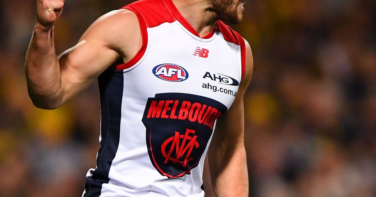 AFL Brownlow Medal cheat sheet