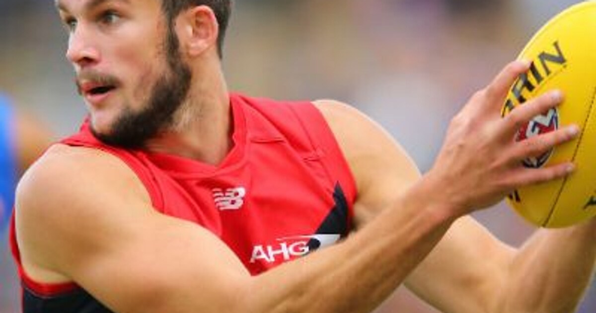 Son of Shaun set to debut