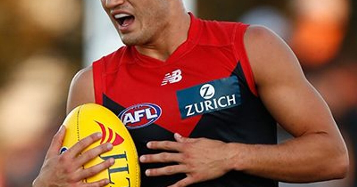 VFL team review: round six