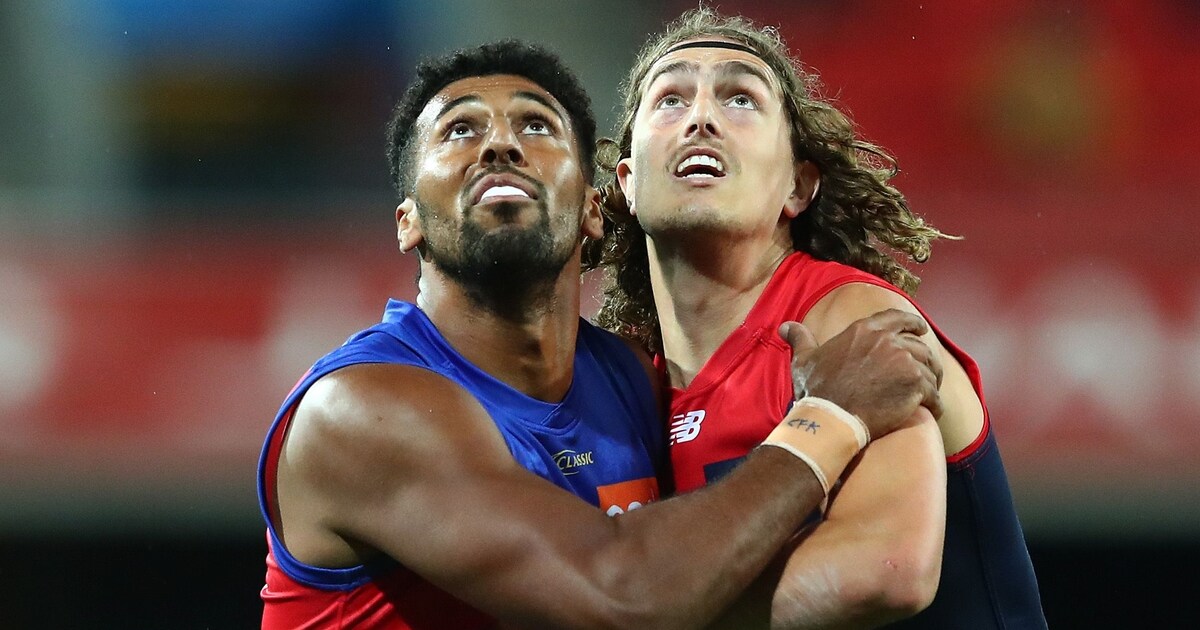 Development the key for Dogga