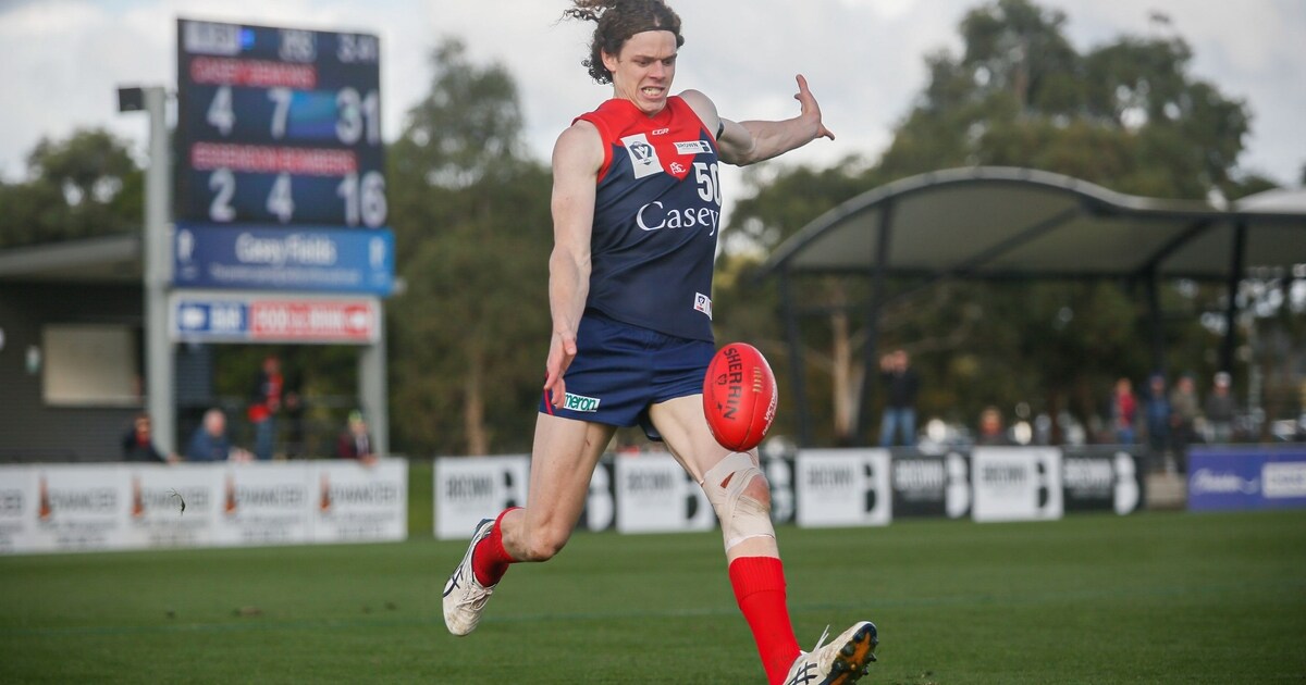 VFL Player Review | Melbourne’s best against the Bombers