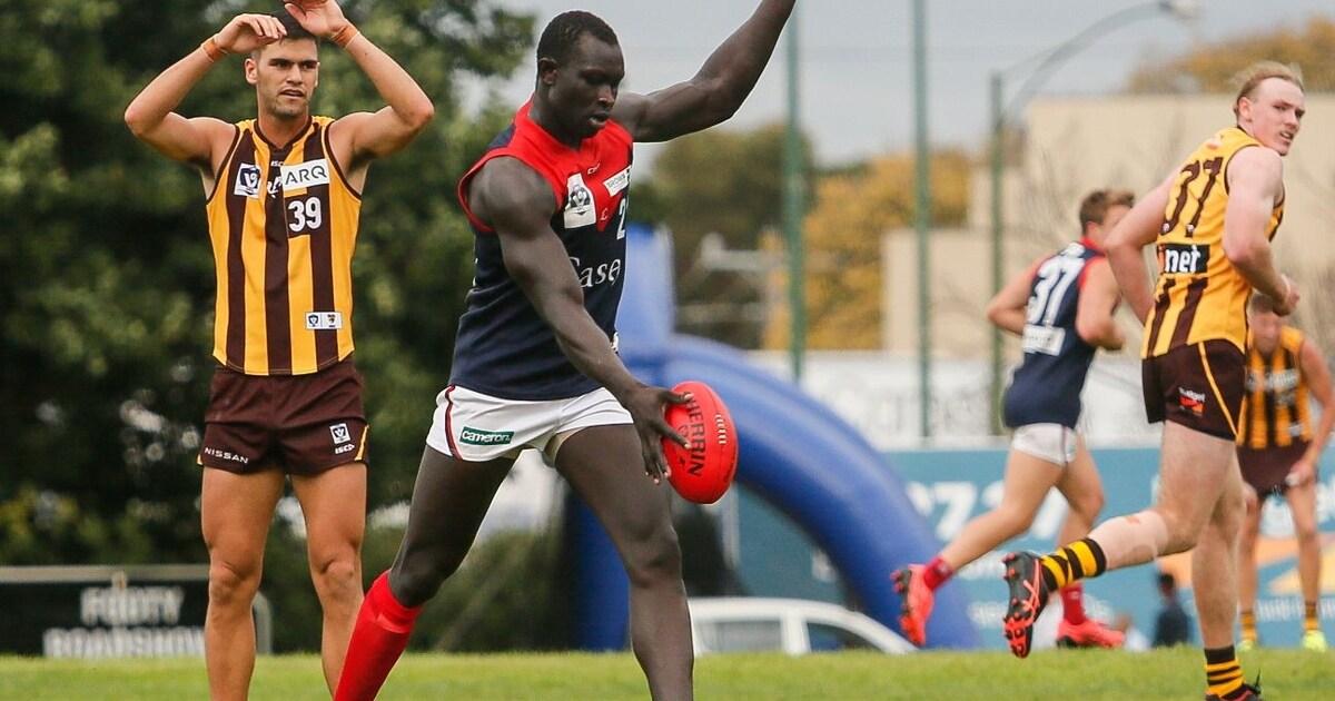 Casey Demons | Game Day Guide - R11 VFLW & R7 VFL