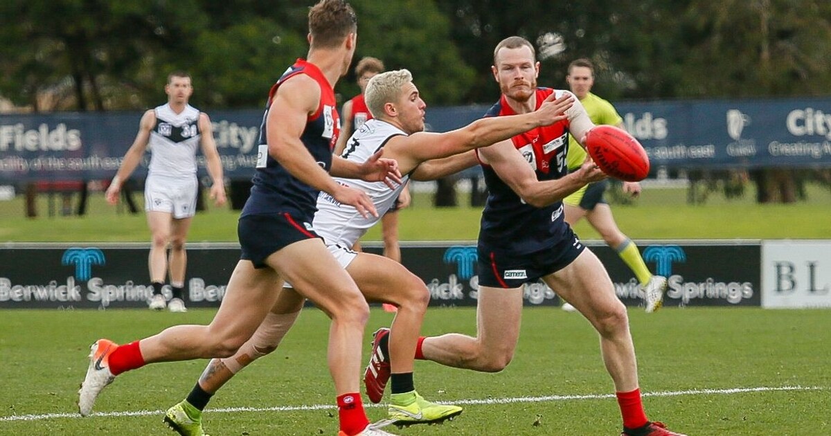 Casey Demons Gallery - VFL R7 V Southport Sharks