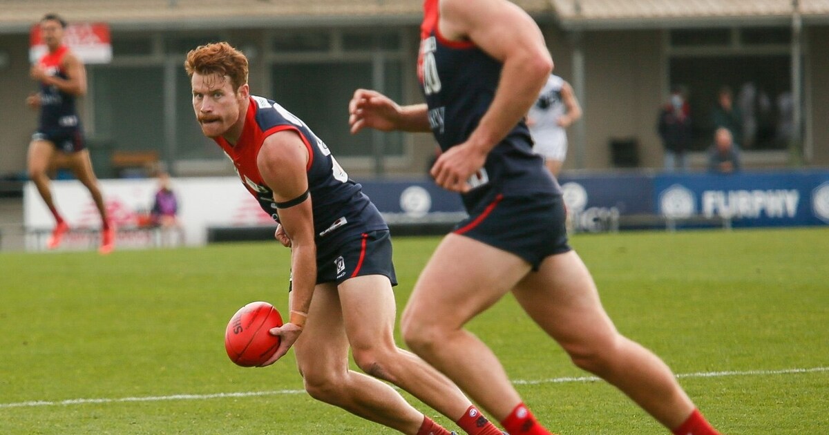 Casey Demons | Game Day Guide - R14 VFLW & R10 VFL