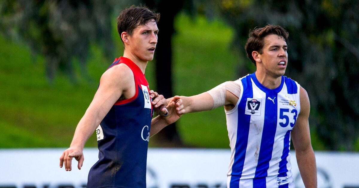 Casey Demons Gallery - VFL R8 V North Melbourne