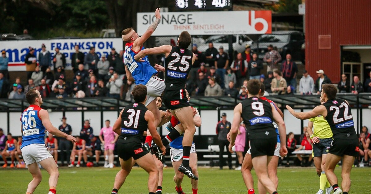 Casey Demons | Game Day Guide - R11 VFL