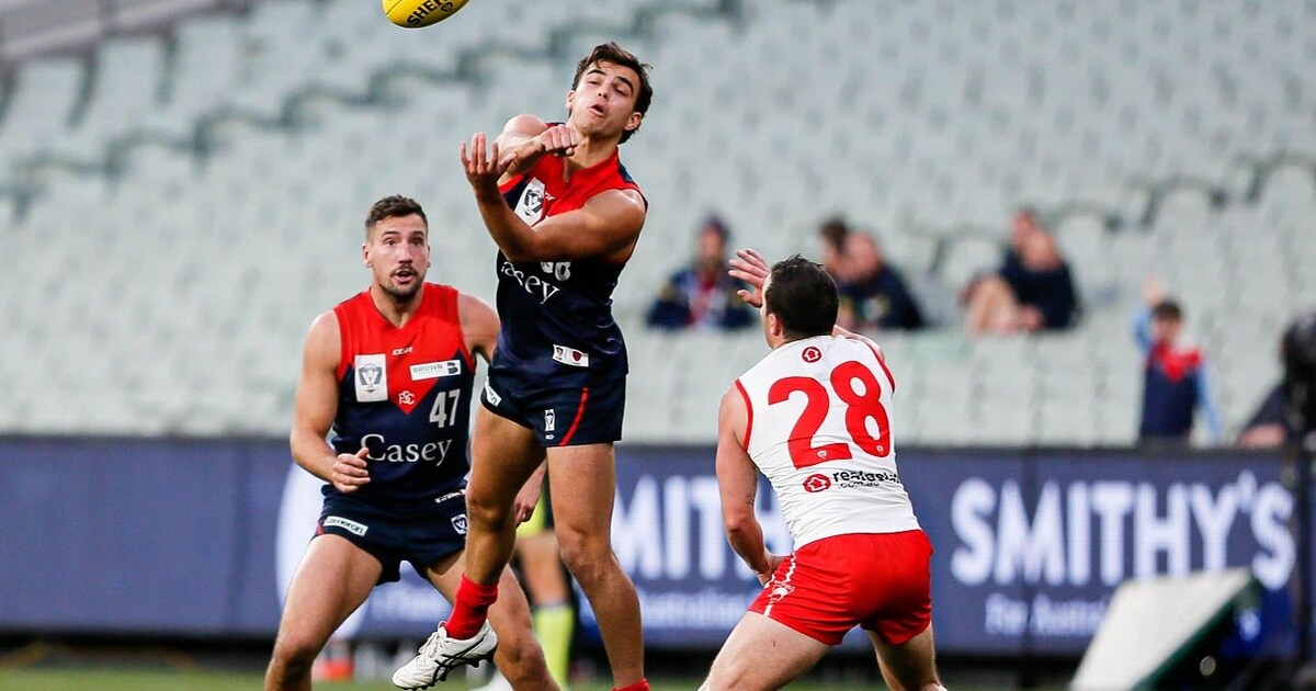 Casey Demons | Game Day Guide - 1st Qualifying Final VFL