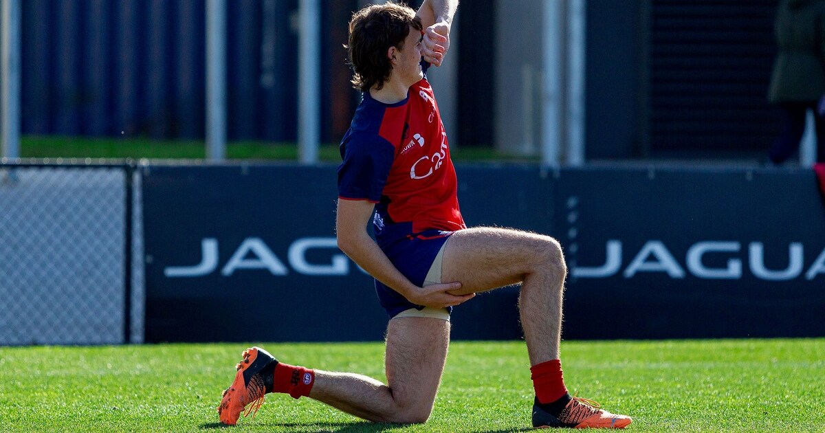 Miles Shepherd – more than meets the eye