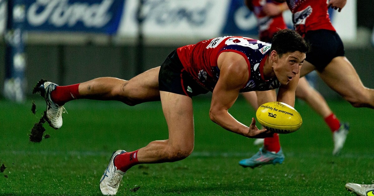 Casey Demons Gallery - VFL R16