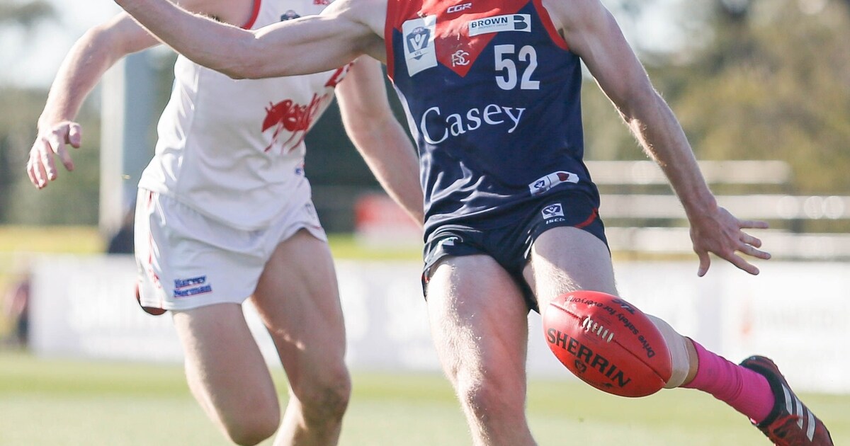 Four Demons in VFL Team of the Year Squad