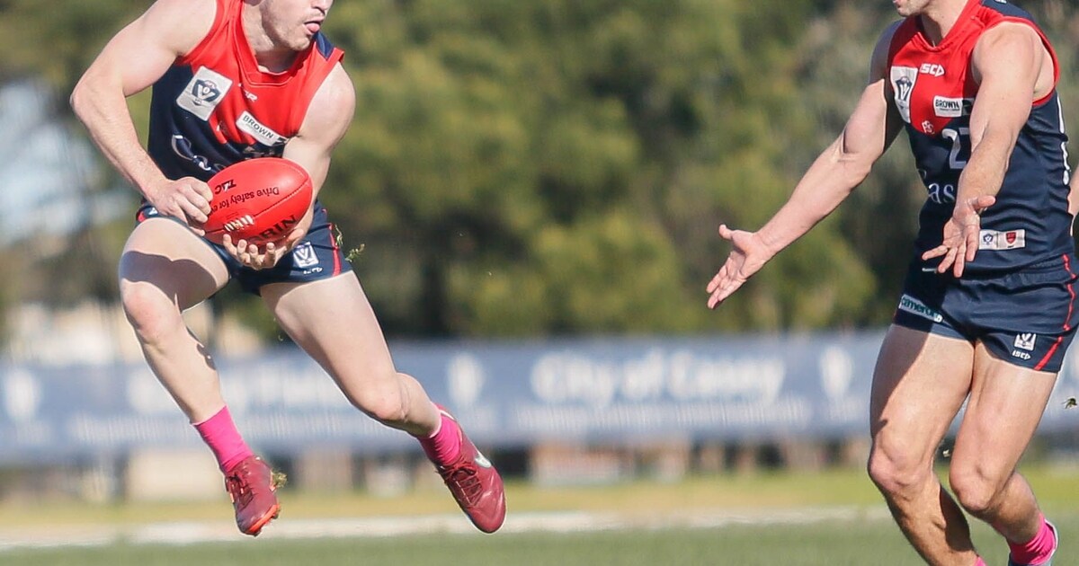 Casey Demons Gallery - VFL R19