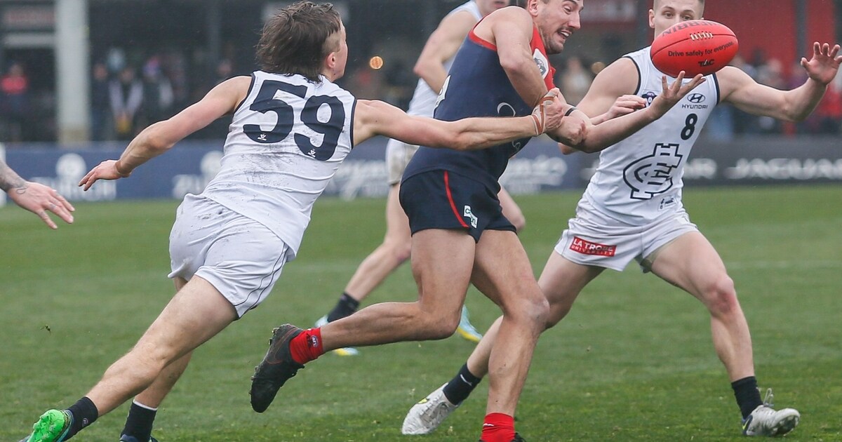Casey Demons | Game Day Guide - R22 VFL