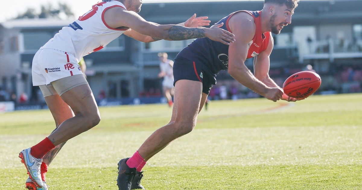 Moose previews the VFL finals