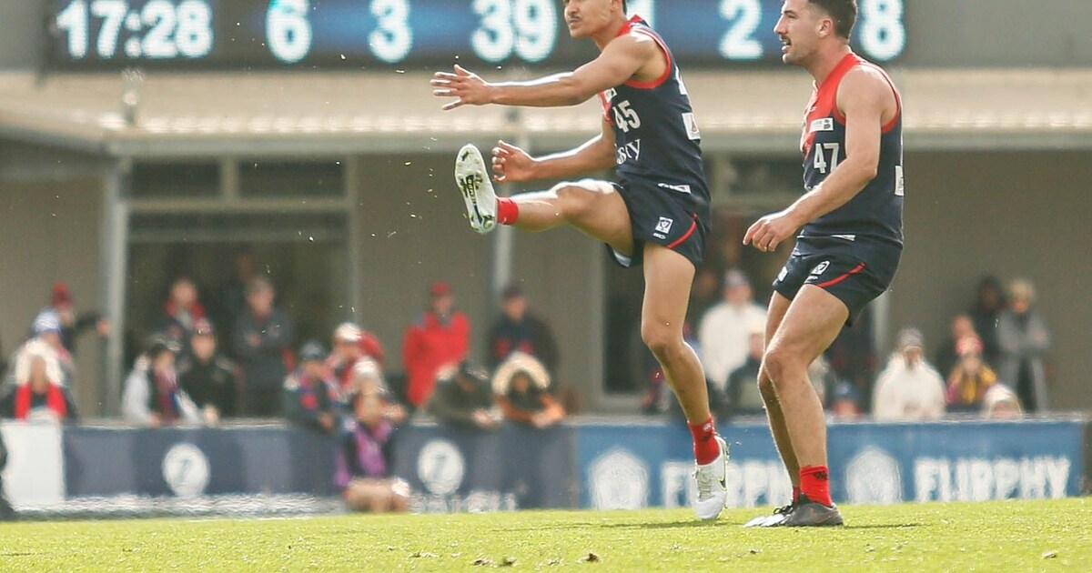 Casey Demons Gallery - VFL Preliminary Final 2022