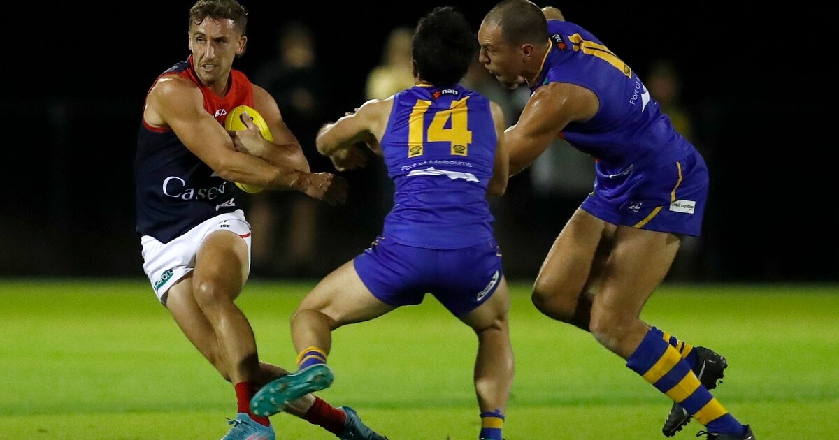 Dunstan among Demons recognised at VFL Awards