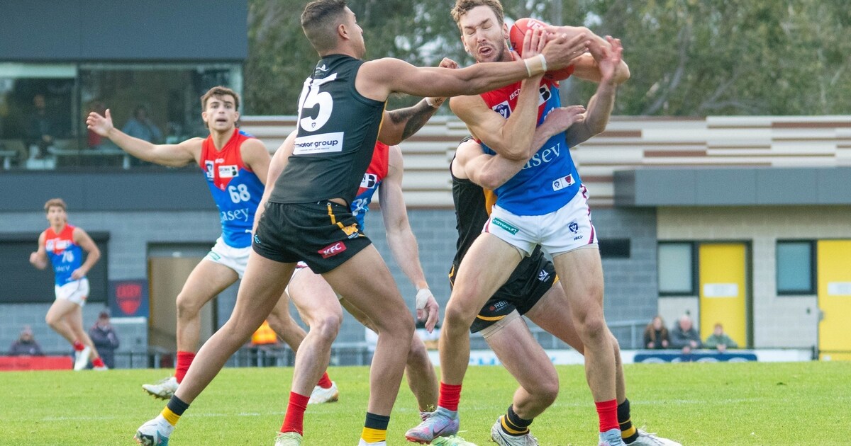 VFL | Strong Werribee last quarter down the Demons