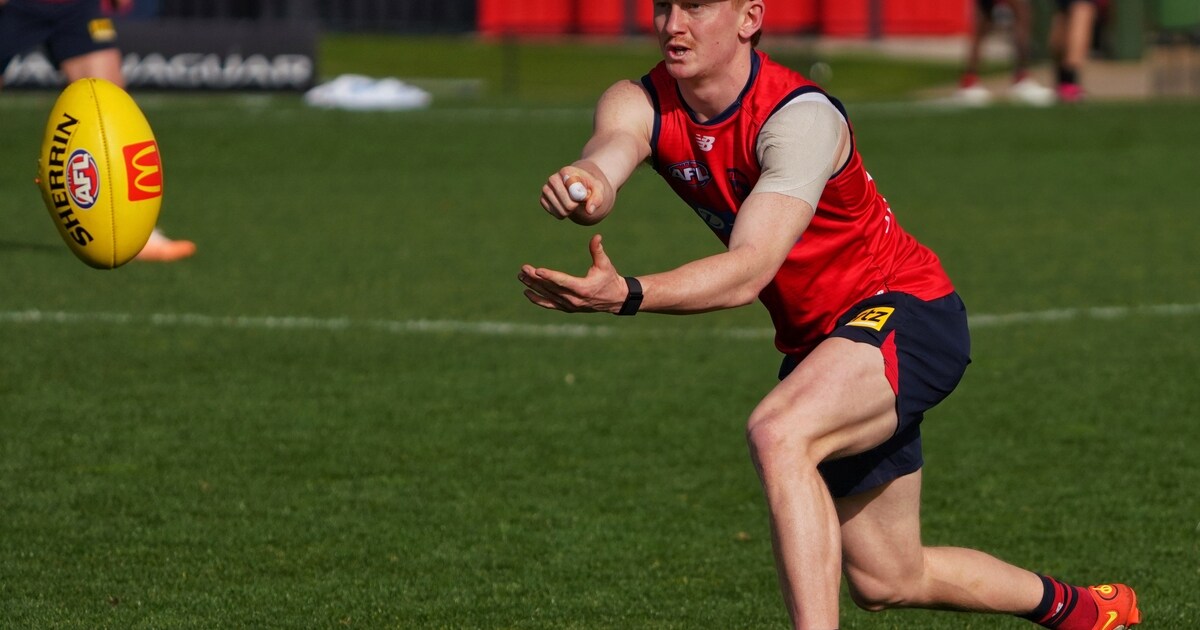 AFL Training Gallery | August 11