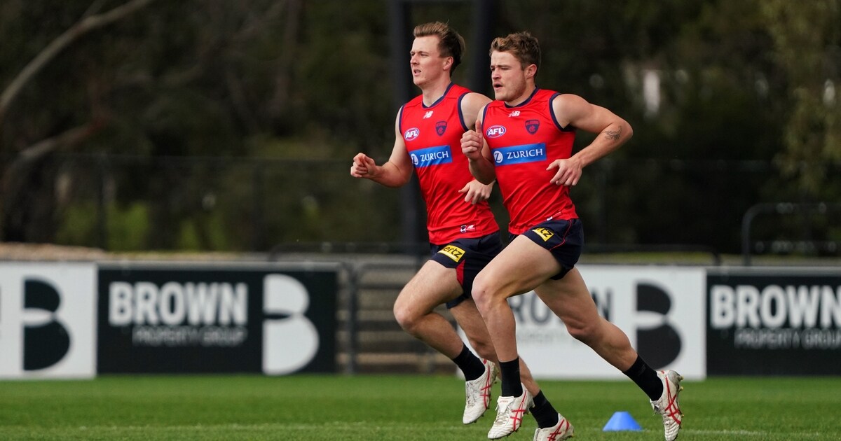 AFL Training Gallery | August 15