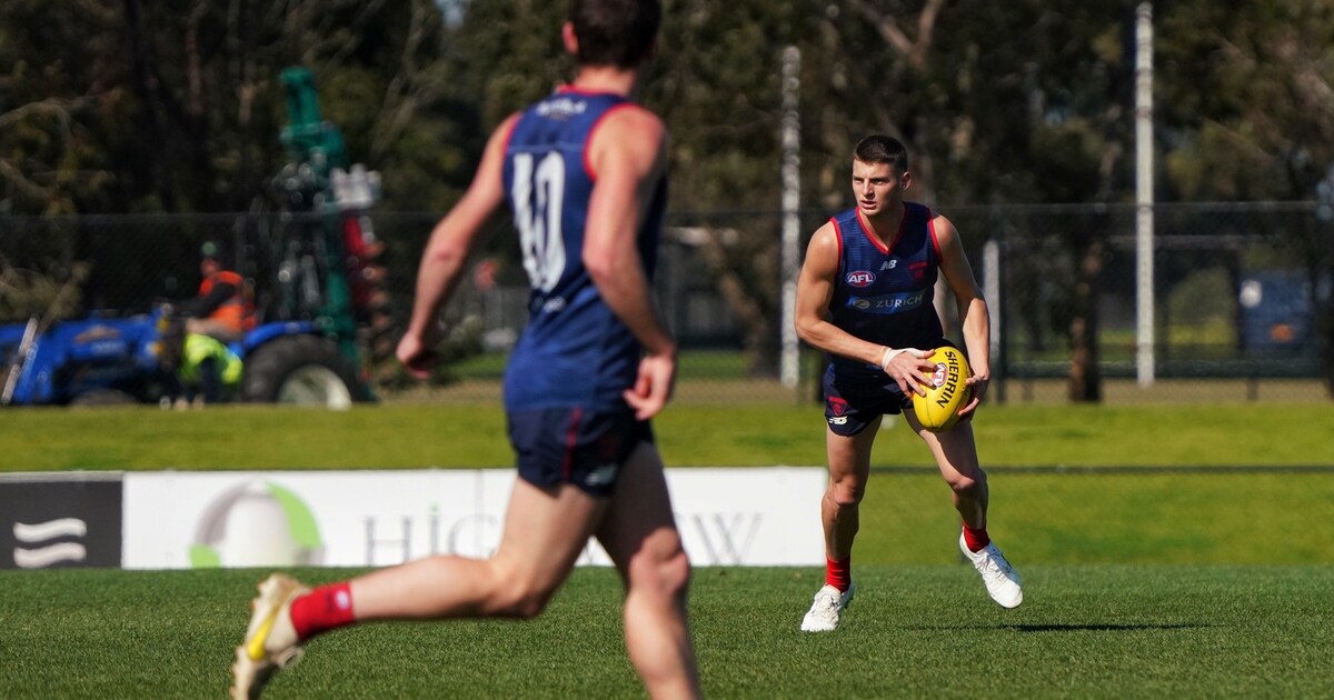AFL Training Gallery | August 24