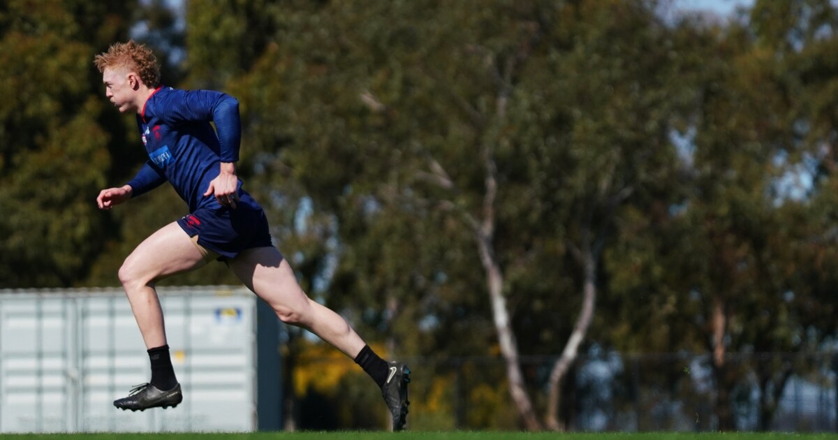 AFL Training Gallery | SF prep