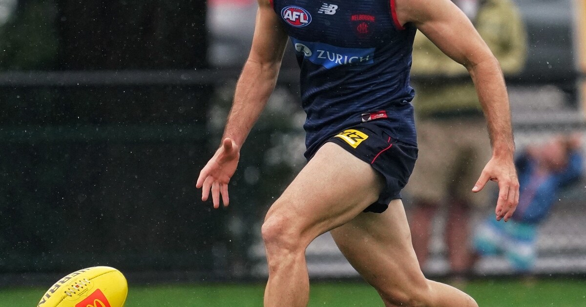 Galleries | Melbourne Football Club