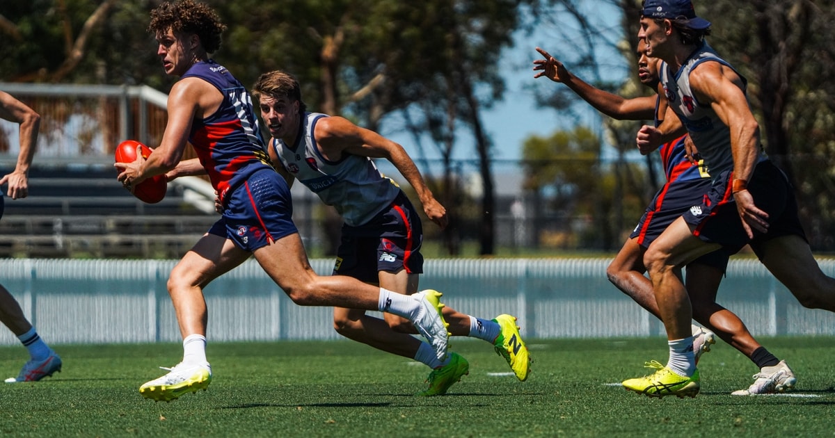 Galleries | Melbourne Football Club